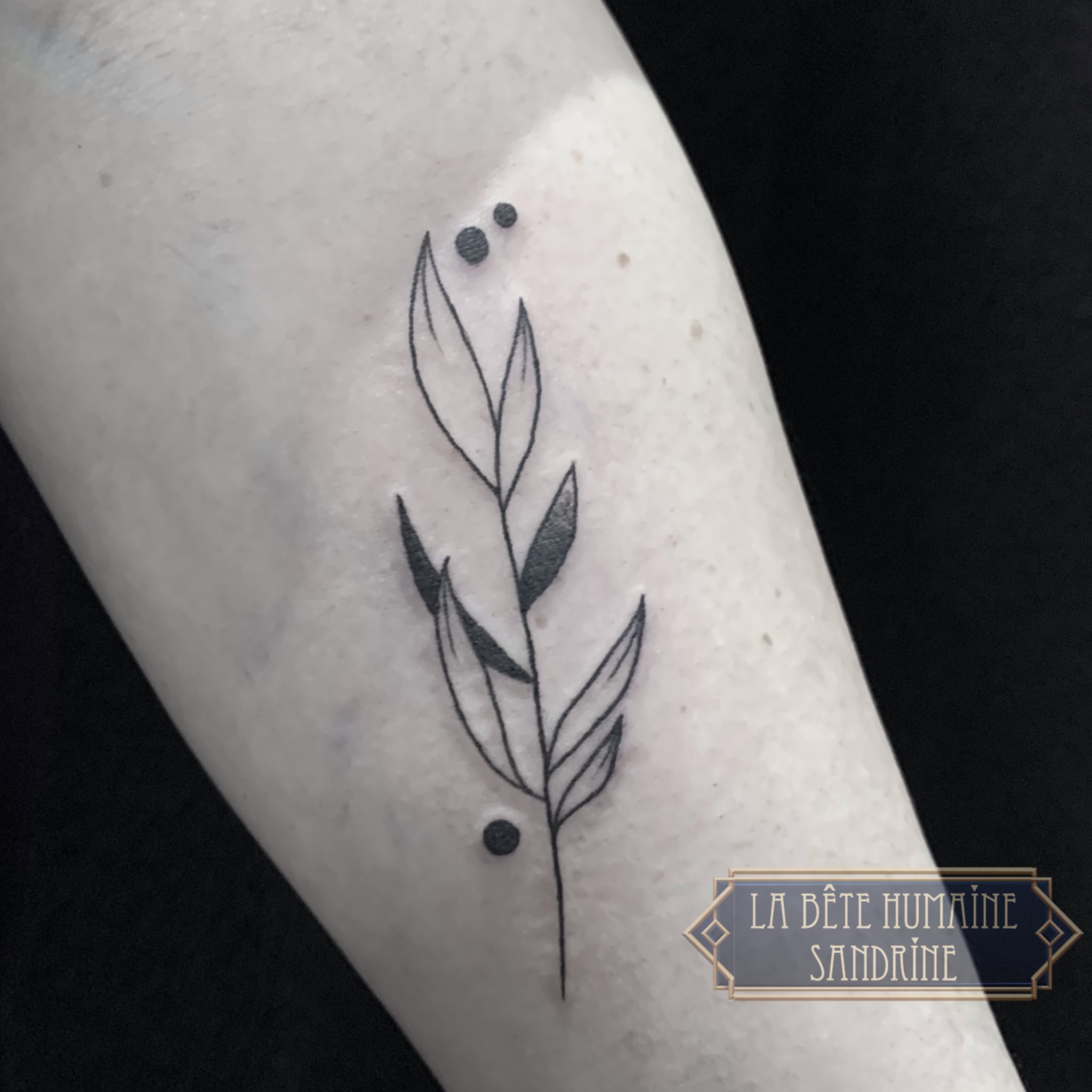 Tous Les Tatouages | La Bête Humaine Paris